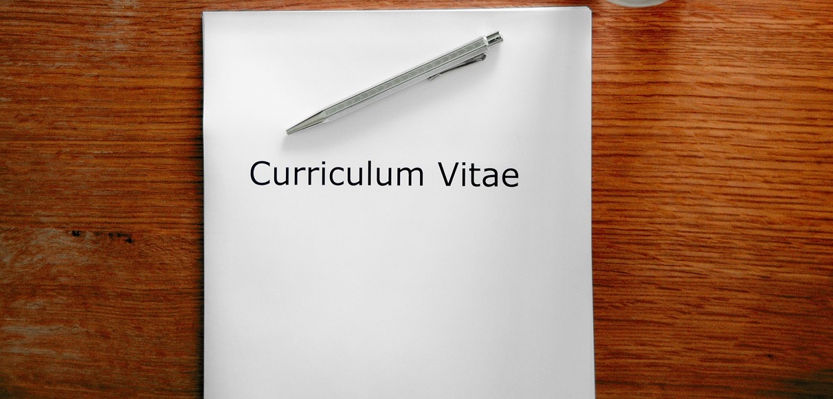 Pisanje radne biografije: Struktura i sadržaj